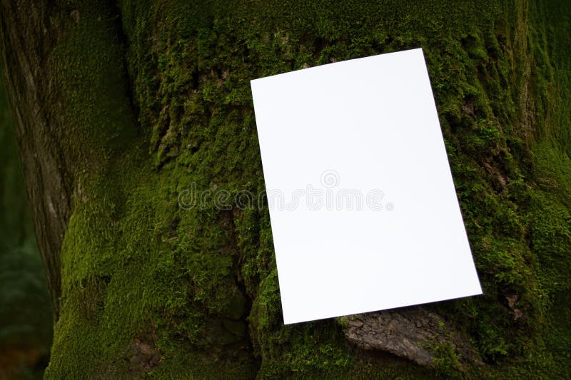 Mockup of a White A4 Sheet of Paper on the Bark of a Tree Trunk Covered ...