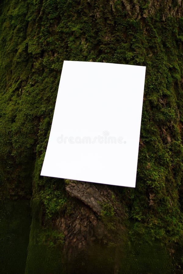 Mockup of a White A4 Sheet of Paper on the Bark of a Tree Trunk Covered ...
