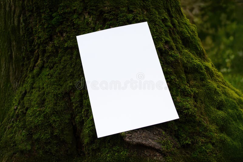 Mockup of a White A4 Sheet of Paper on the Bark of a Tree Trunk Covered ...