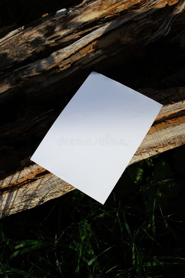 Mockup of a White A4 Sheet of Paper on the Red Bark of a Tree Trunk ...