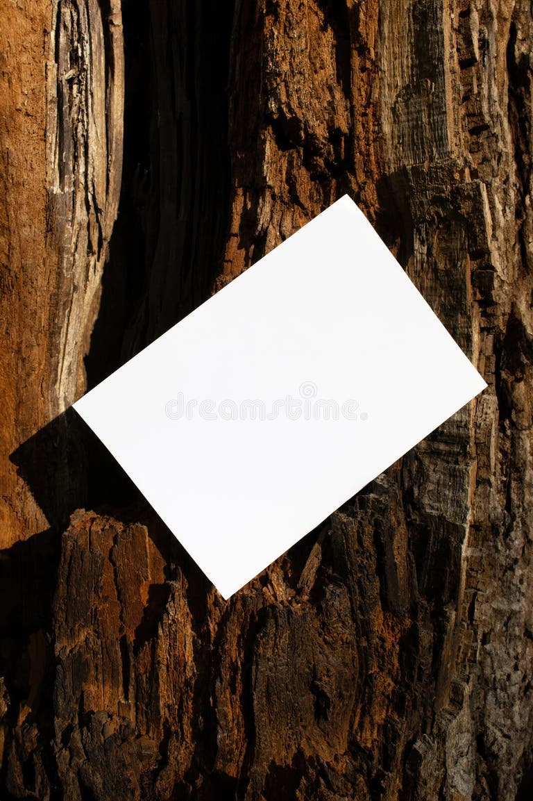 448 Letterhead Tree Stock Photos - Free & Royalty-Free Stock Photos ...