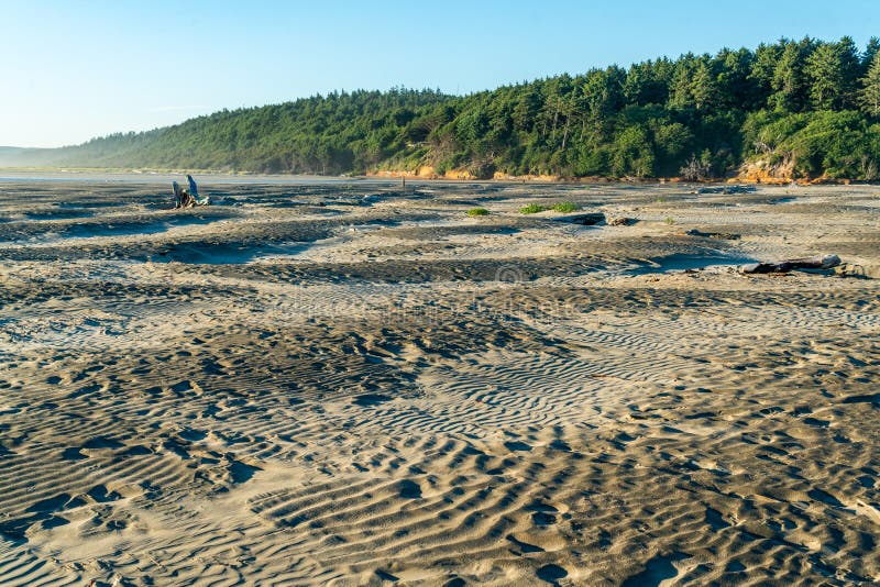 Moclips Beach Landscape stock photo. Image of state - 330298130