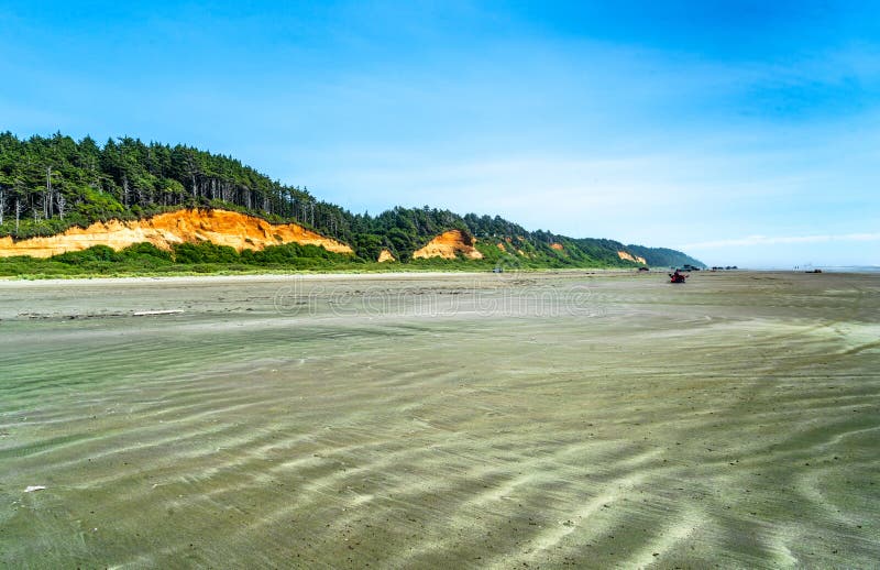 Moclips Beach and Trees 4 stock image. Image of moclips - 331266701