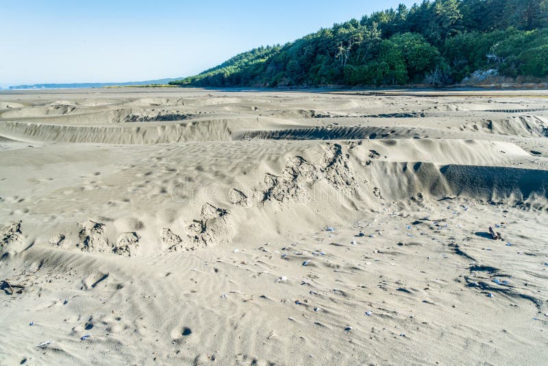 Moclips_Sand_Dunes stock photo. Image of sand, dunes - 287275206
