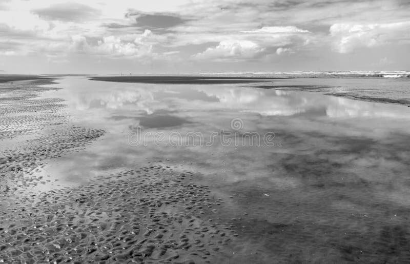 Moclips Sand Reflection 2 stock image. Image of sand - 287275309