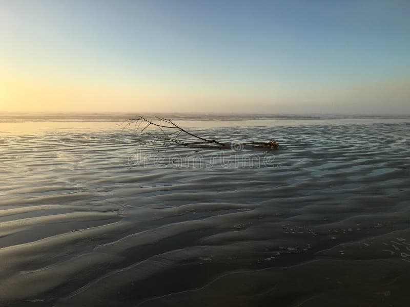Moclips, Washington stock photo. Image of shore, sunset - 80153324
