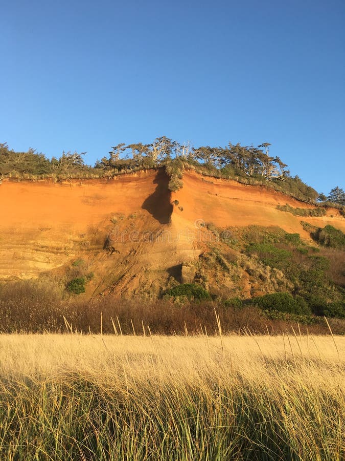Moclips, Washington stock photo. Image of scenery, soil - 80153816