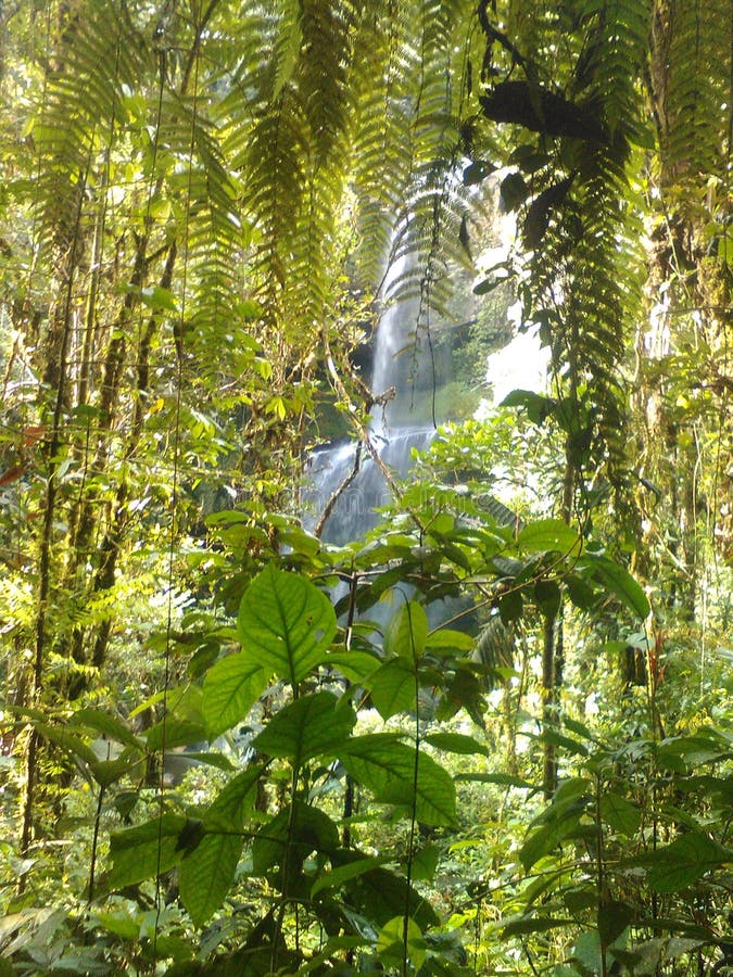 Mocoa waterfall stock image. Image of tropical, amazon - 97374715