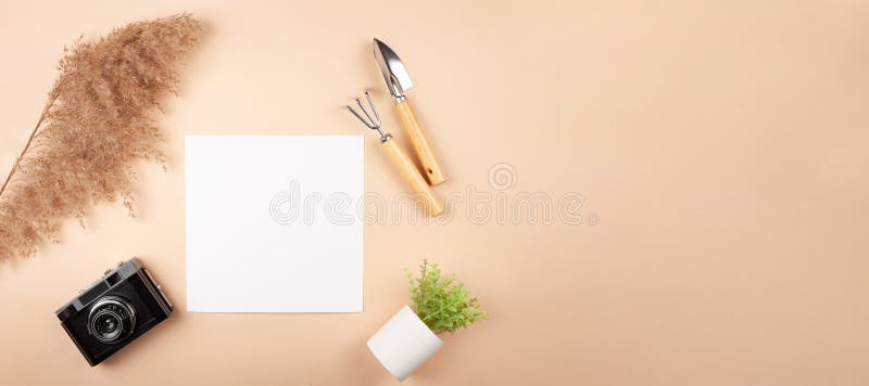 Mocup on a Beige Background. Beautiful Plants, Empty Space for Text ...