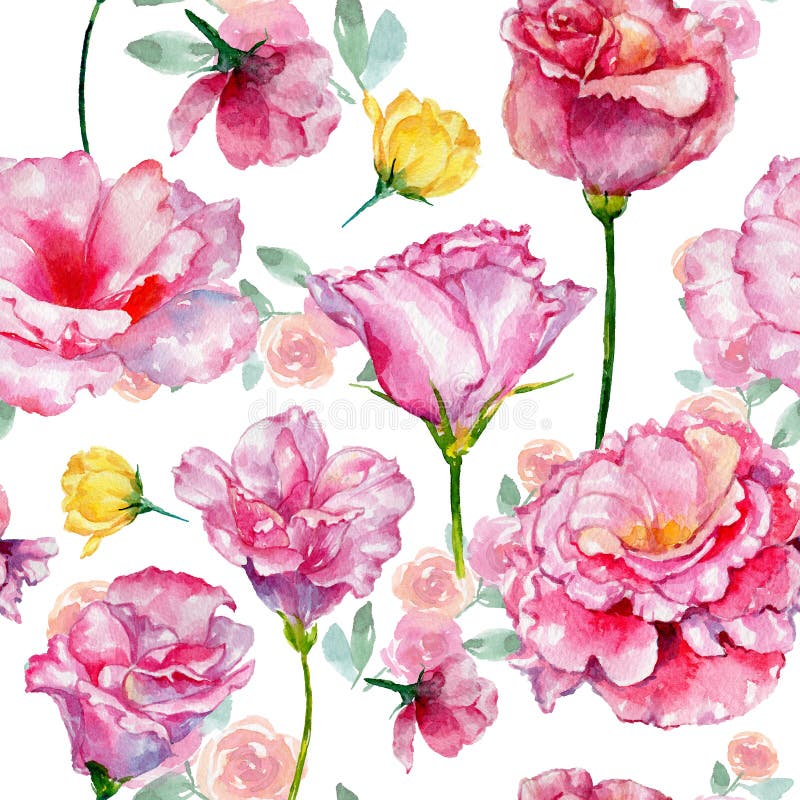 Modèle De Fleur De Roses De Wildflower Dans Un Style D'aquarelle ...