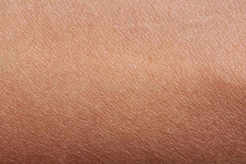 Peau Humaine Couverte De Taches De Rousseur Image stock - Image du plat ...