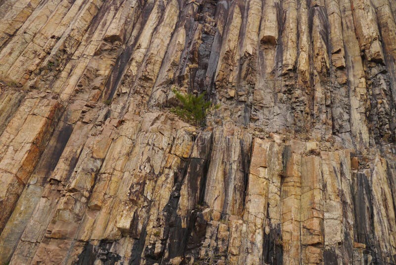 Roche plutonique image stock. Image du roche, géologie - 22156417