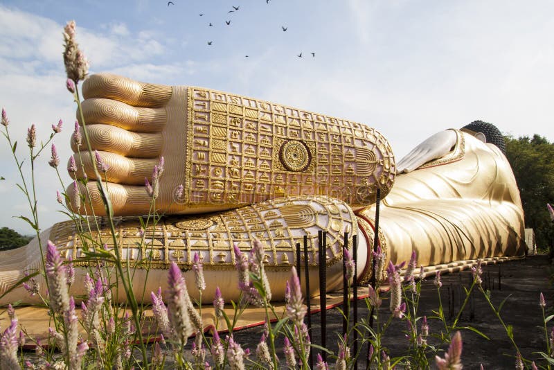 Propice Photos Stock - Téléchargez 10,804 Photos libres de droits