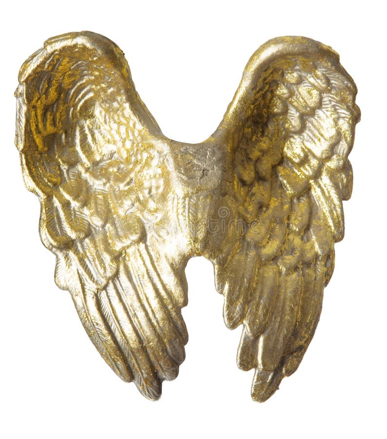 Model of angel wings stock image. Image of bird, fantasy - 242734739