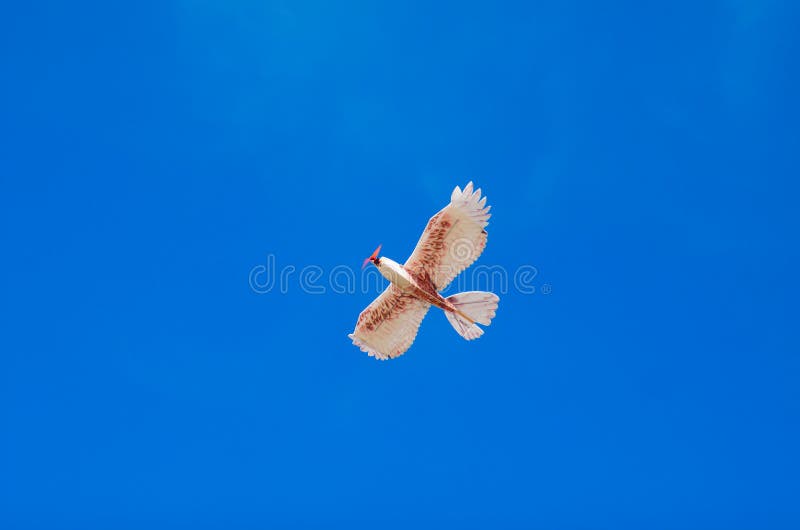 Model of Bird Flying in a Magnificent Blue Sky Stock Photo - Image of ...