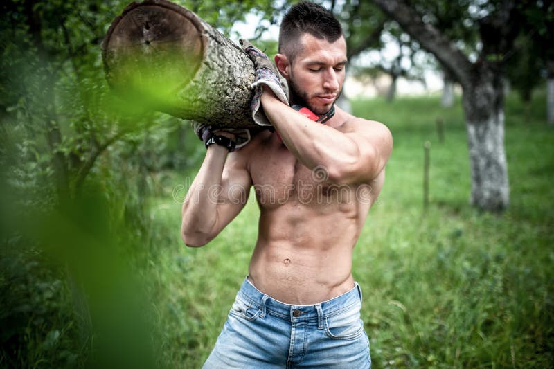 Man Cutting Wood from Trees Climbing a Ladder Stock Image - Image of ...