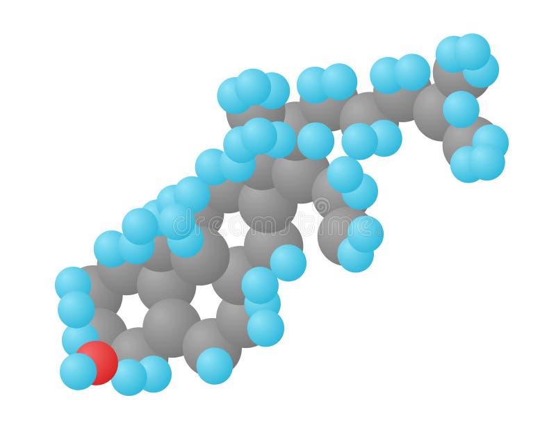Cholesterol molecule stock vector. Illustration of addition - 21352023