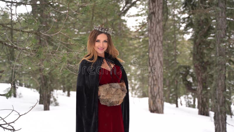 Model Cosplay Snow Queen Outdoor in Winter Pine Forest Stock Video ...
