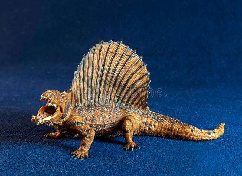 A model of dimetrodon stock image. Image of lizard, stegosaurus - 199442949