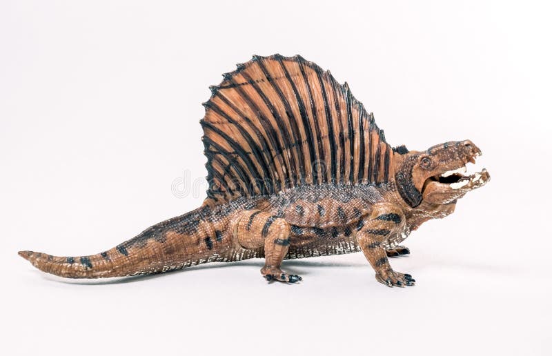 Dimetrodon Reptiles Stock Photos - Free & Royalty-Free Stock Photos ...