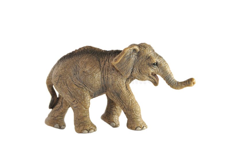 Model elephant stock image. Image of national, walking - 49869177