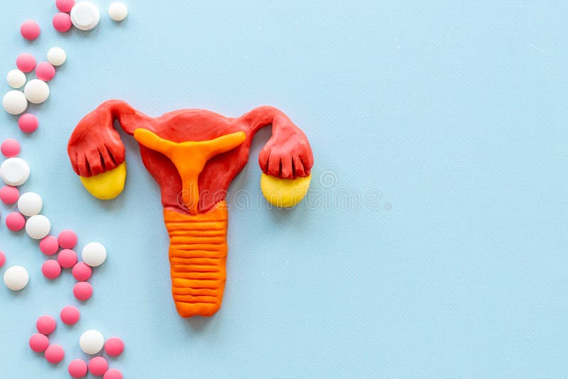 Model of Female Reproductive System with Medical Pills Stock Image ...