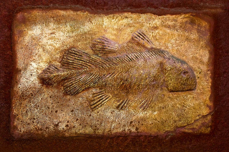 Mesozoic Age Fossil Fish Trapped in the Rock Stock Image - Image of ...