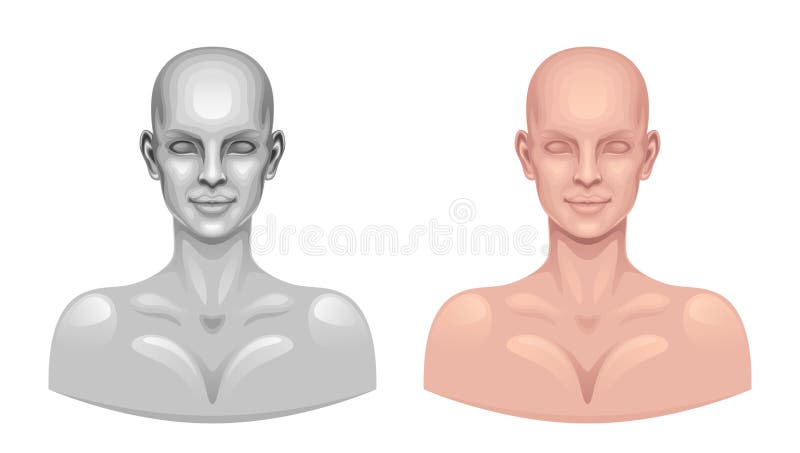 Model head stock vector. Illustration of body, human - 28065038