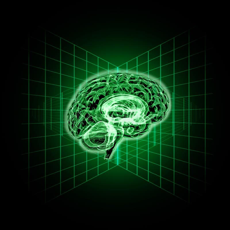 Model of a Human Brain on a Black Background. Stock Illustration ...