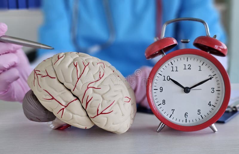 Brain Assessments Stock Photos - Free & Royalty-Free Stock Photos from ...