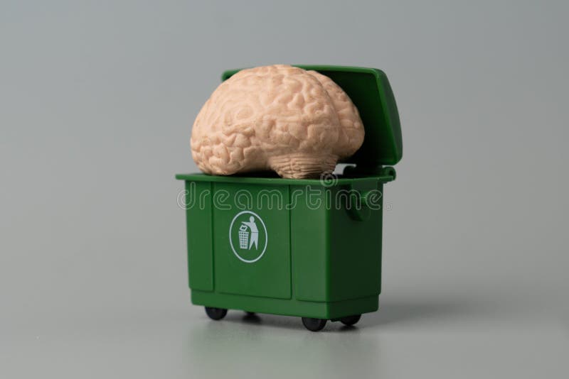 A Model of a Human Brain is Placed Inside a Trash Bin. Stock Image ...