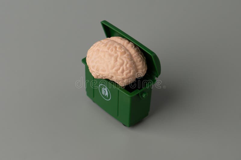 A Model of a Human Brain is Placed Inside a Trash Bin. Stock Image ...