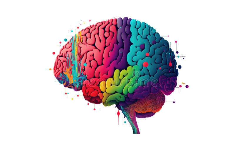 Model of Human Brain on White Background. Profile View. Intelligence ...