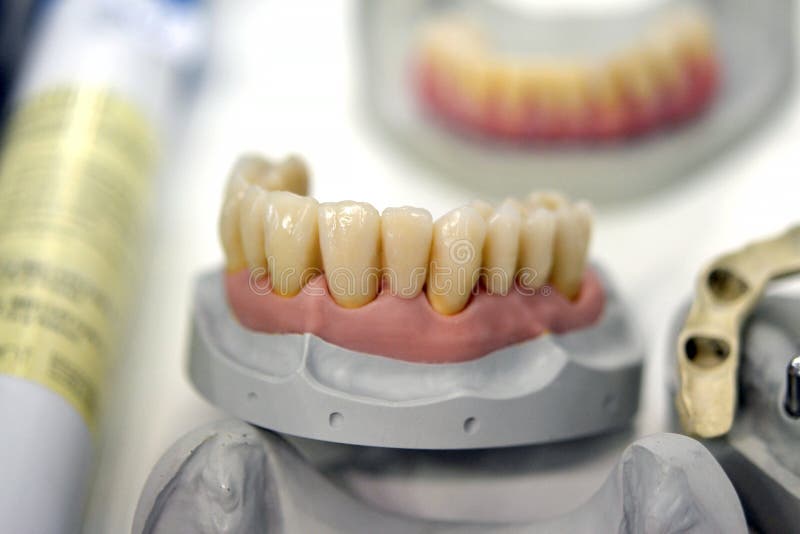 Model of human teeth stock image. Image of business - 101004409
