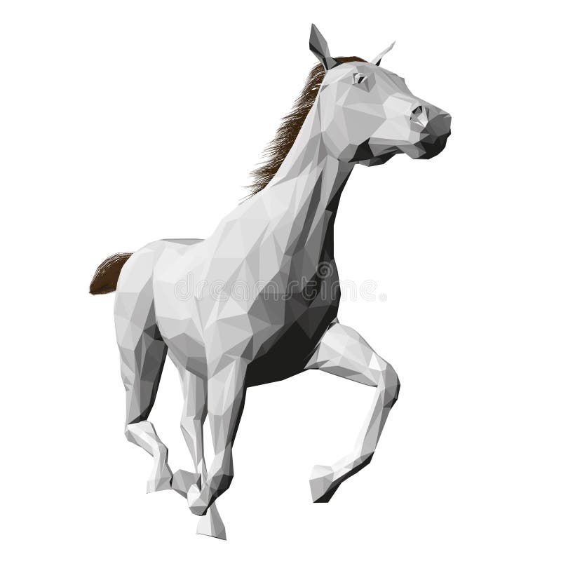Horse Front View Vector