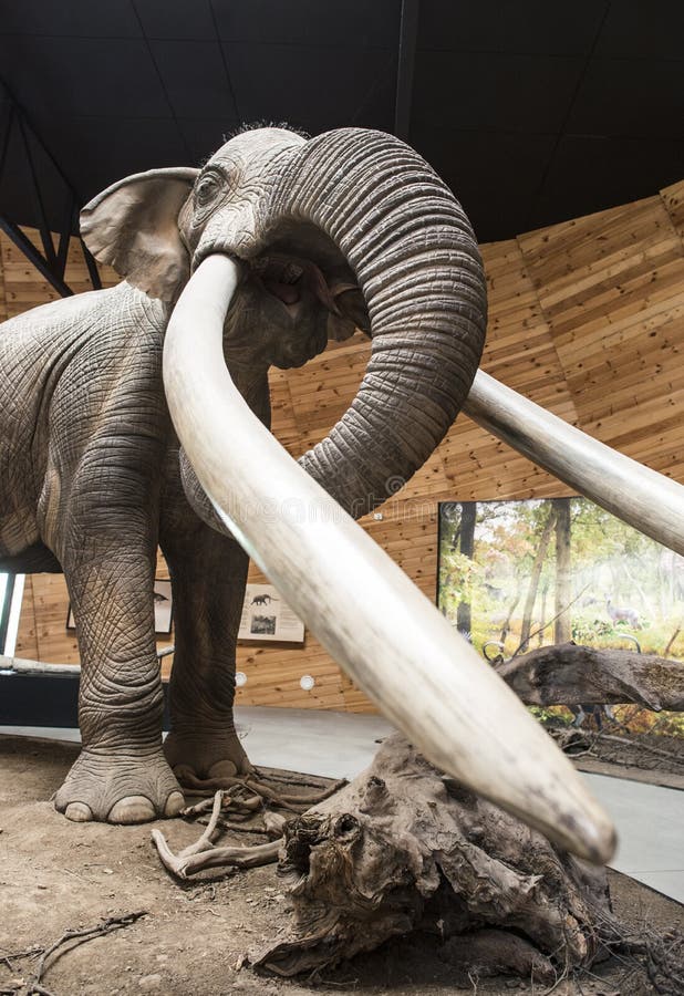 Model of mastodon editorial stock image. Image of pleistocene - 137908259