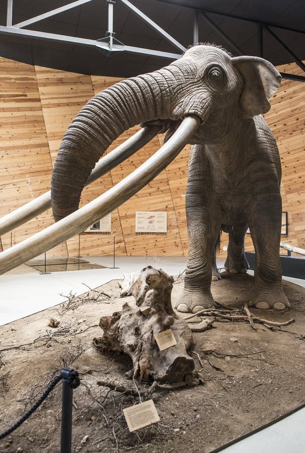 Model of mastodon editorial photography. Image of prehistoric - 137935737