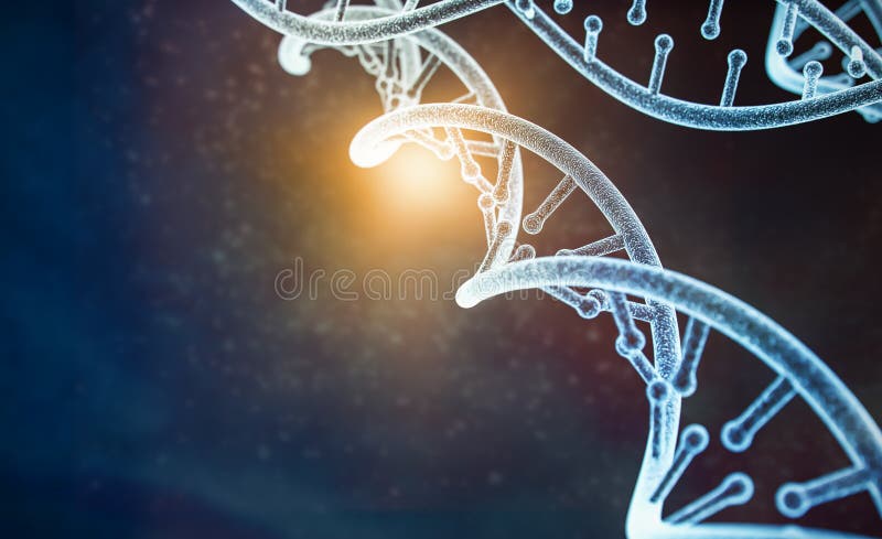 Model of human DNA stock illustration. Illustration of evolution ...