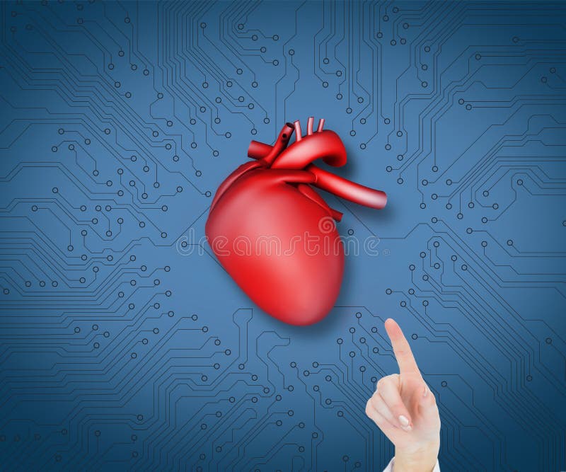 Model pointing at heart stock image. Image of gesture - 35795541