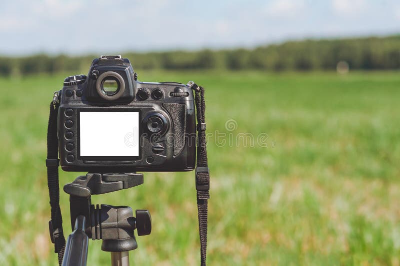Model of a Professional Camera in the Field on a Tripod Stock Image ...