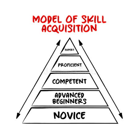 Model of Skill Acquisition - Model of How Learners Acquire Skills ...