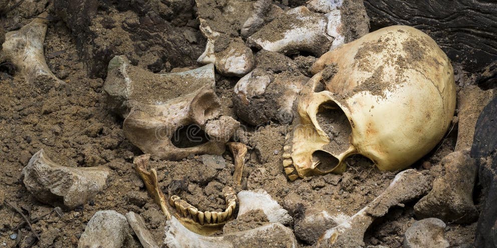 Model Skull of Human and Bones Form Pit with Dark Light.Copy Space ...