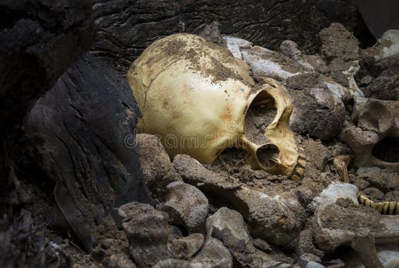 Model Skull of Human and Bones Form Pit with Dark Light.Copy Space ...