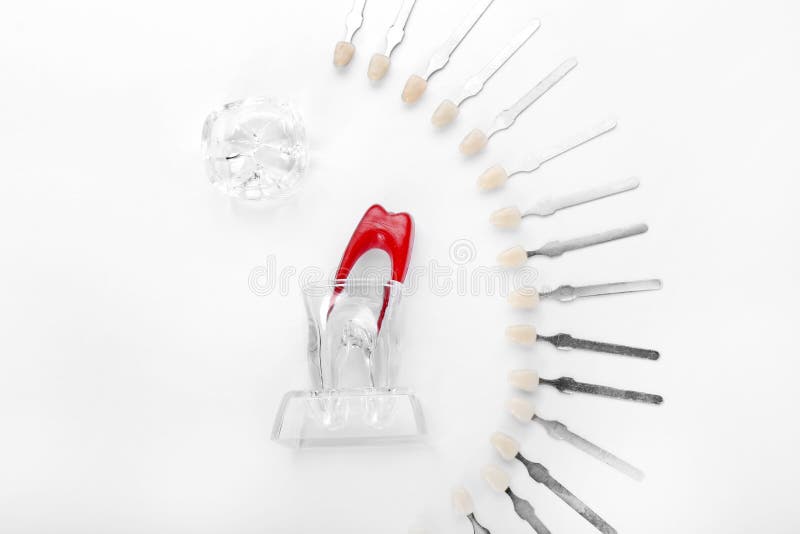 Model of Tooth with Color Samples on White Background Stock Image ...