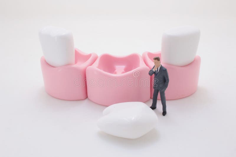 A Model Toy of a Human Jaw with a Missing Tooth Stock Photo - Image of ...