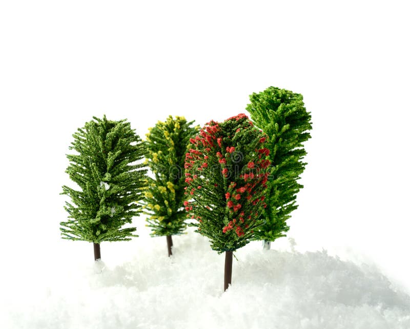 Model Trees stock photo. Image of spruce, boreal, nature - 28388670