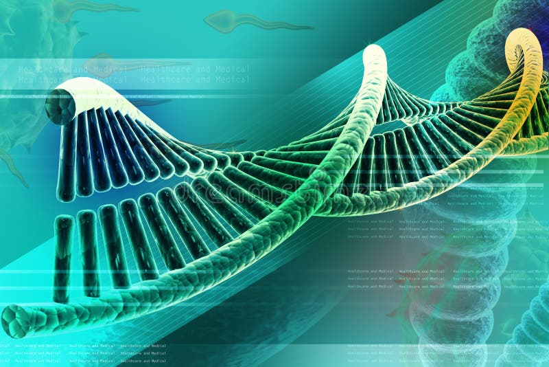 Model of Twisted DNA Chainc Stock Illustration - Illustration of ...