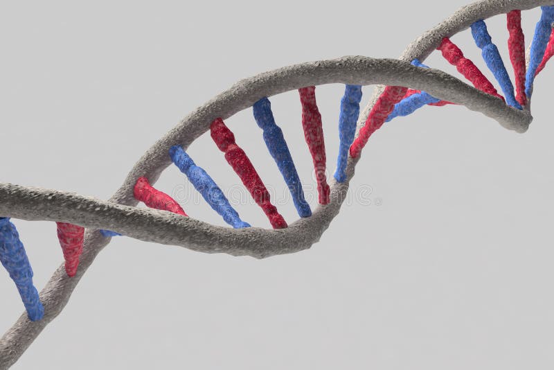 Model van DNA-structuur stock illustratie. Illustration of biologie ...