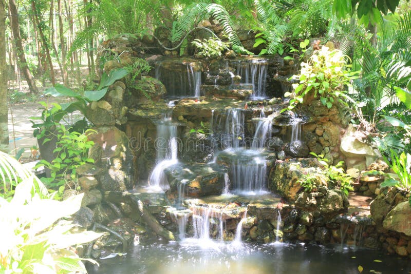 The model waterfall stock image. Image of vegetation - 203702915