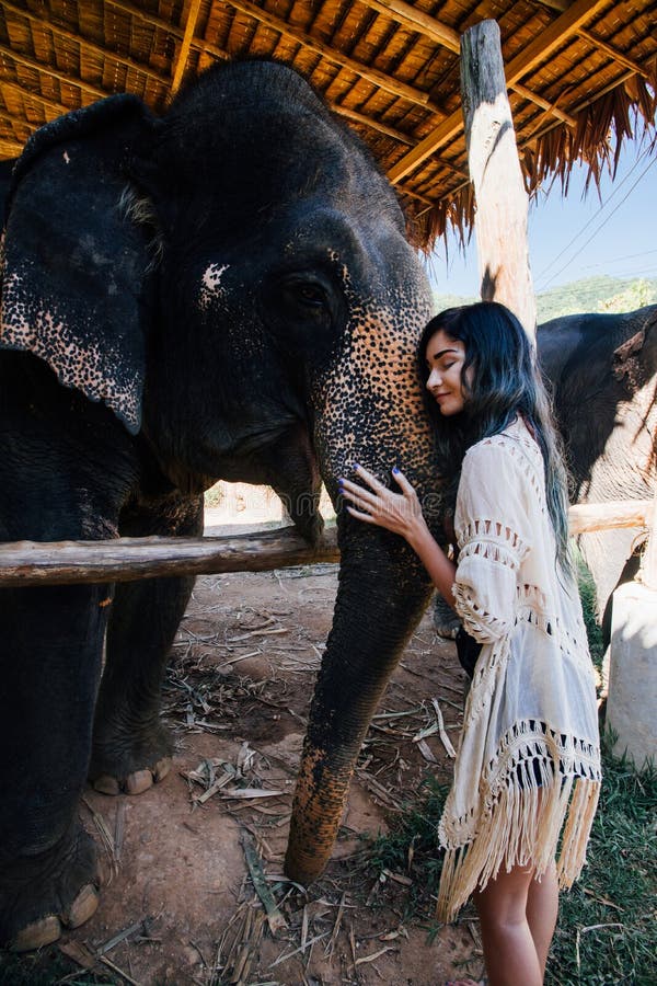 Model Woman Hugging a Big Elephant in the Zoo-park Stock Photo - Image ...
